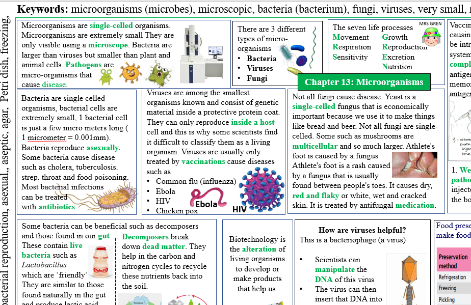 Microorganisms | Lesson Plans