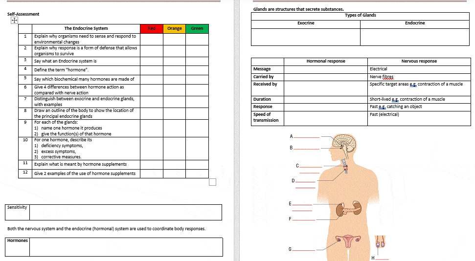Endocrine System (L.C Biology) Powerpoint and Skeleton Notes | Lesson Plans