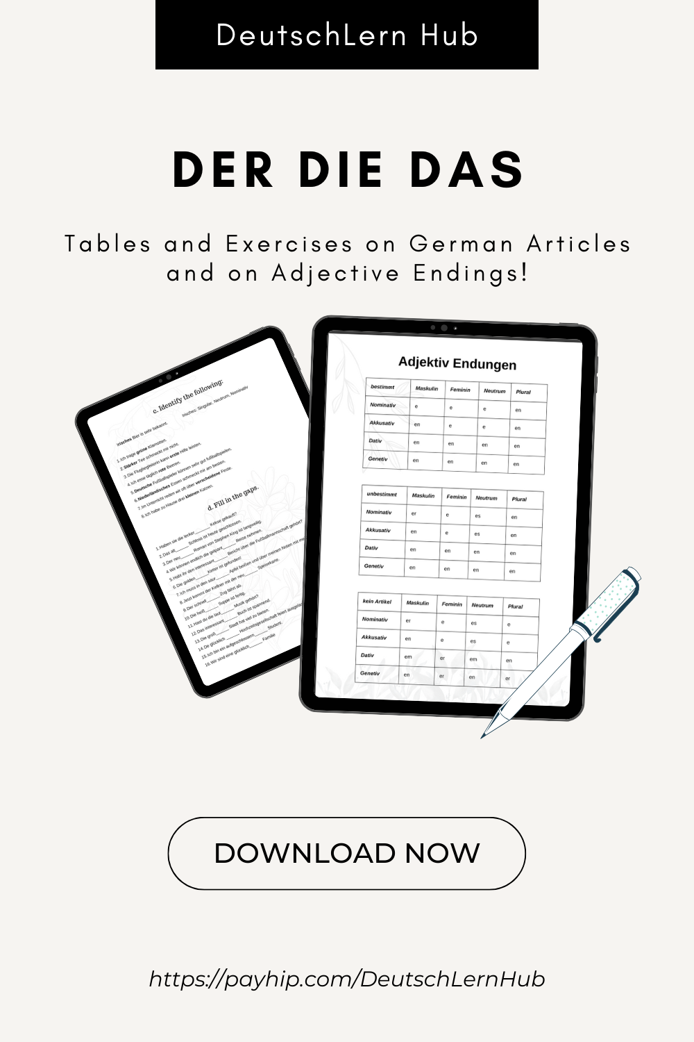 DER DIE DAS! 5 Page Worksheet for German Articles and Adjective Endings ...
